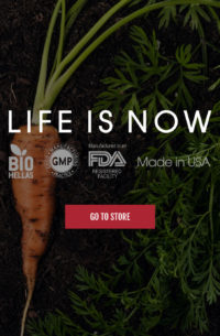 Protocols | Primal FX