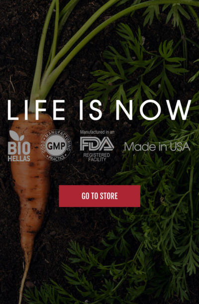 Protocols | Primal FX