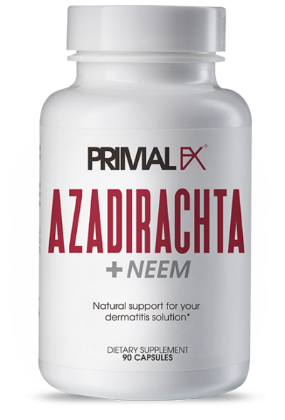 NEEM | Primal FX