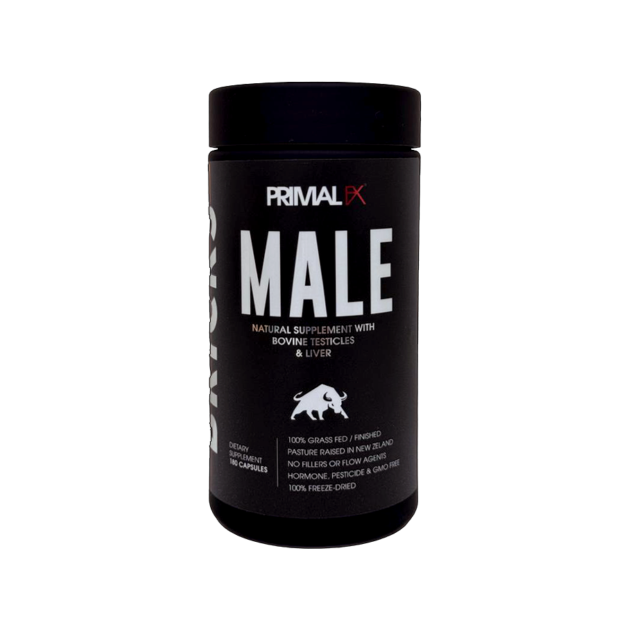 BRICKS MALE | Primal FX