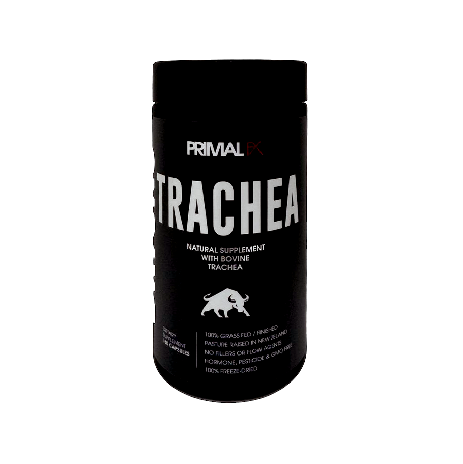 BRICKS TRACHEA | Primal FX