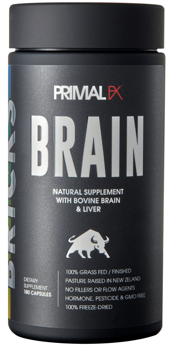 BRICKS BRAIN | Primal FX