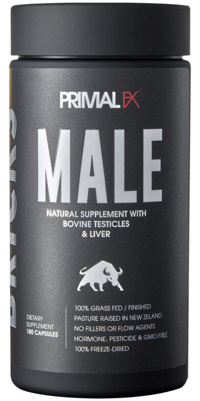 BRICKS MALE | Primal FX