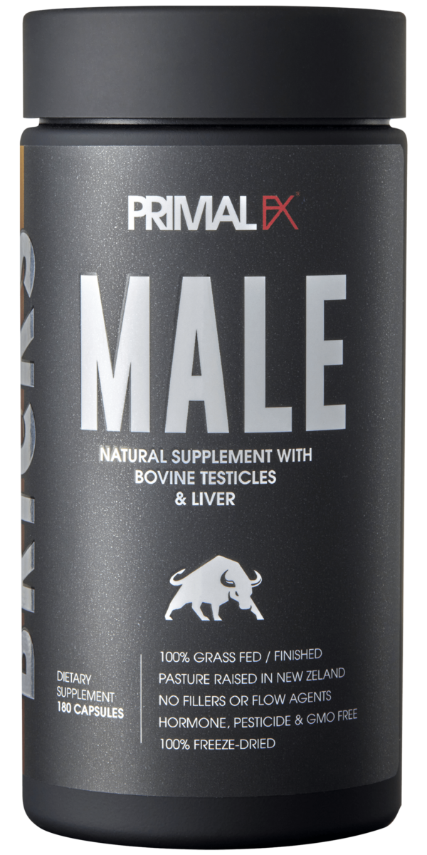 BRICKS MALE | Primal FX
