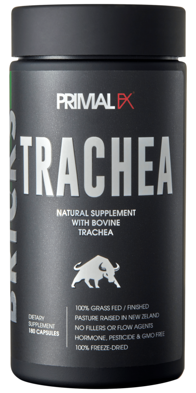 BRICKS TRACHEA | Primal FX