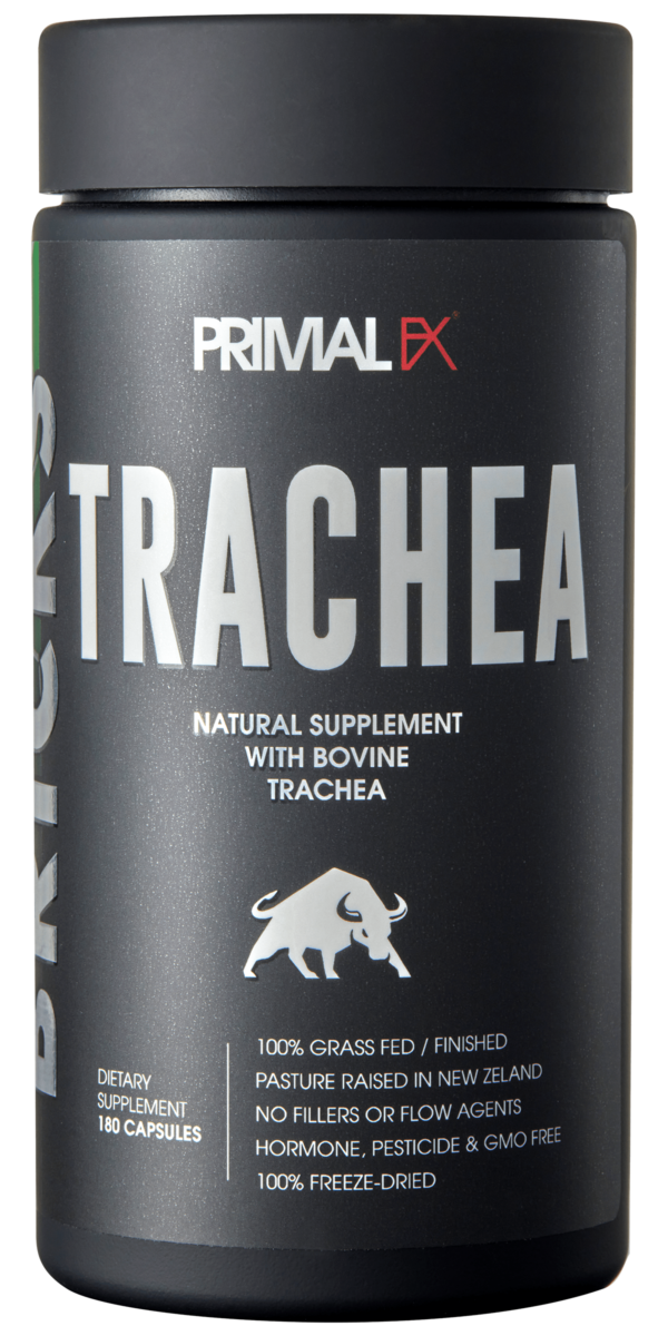 BRICKS TRACHEA | Primal FX