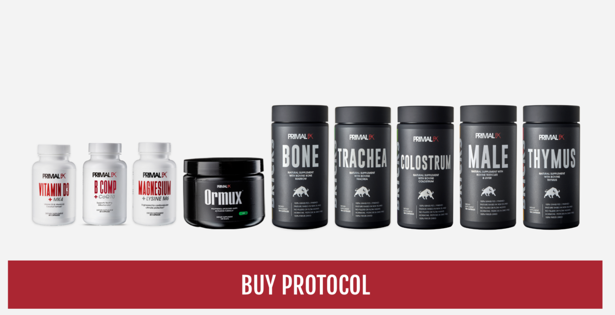 PROTOCOL SUPERHUMAN | Primal FX