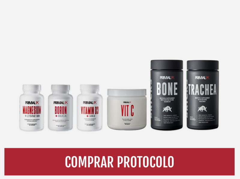 PROTOCOLO FRACTURAS | Primal FX