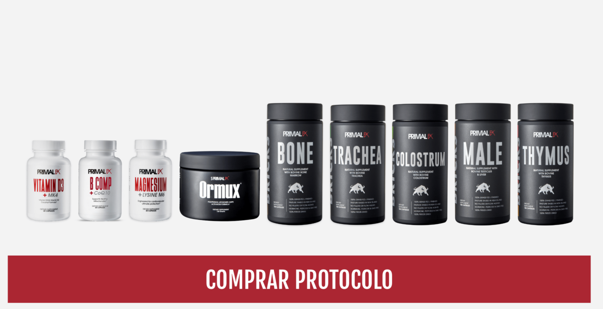 PROTOCOLO SUPERHUMAN | Primal FX