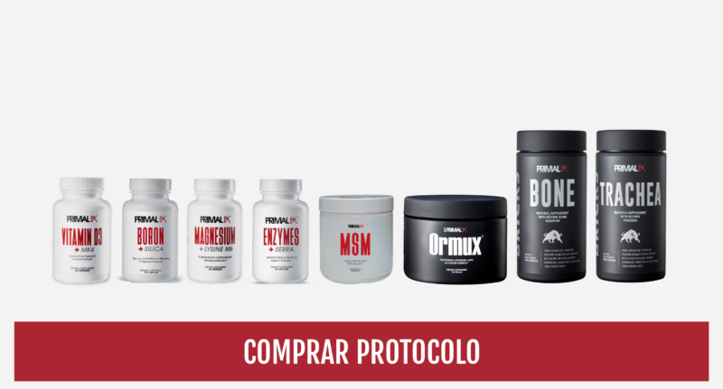 PROTOCOLO DOLOR | Primal FX