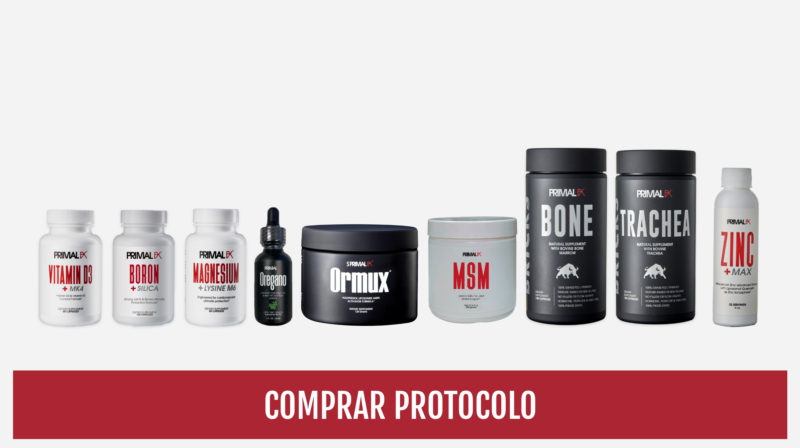PROTOCOLO ESPONDILITIS ANQUILOSANTE | Primal FX