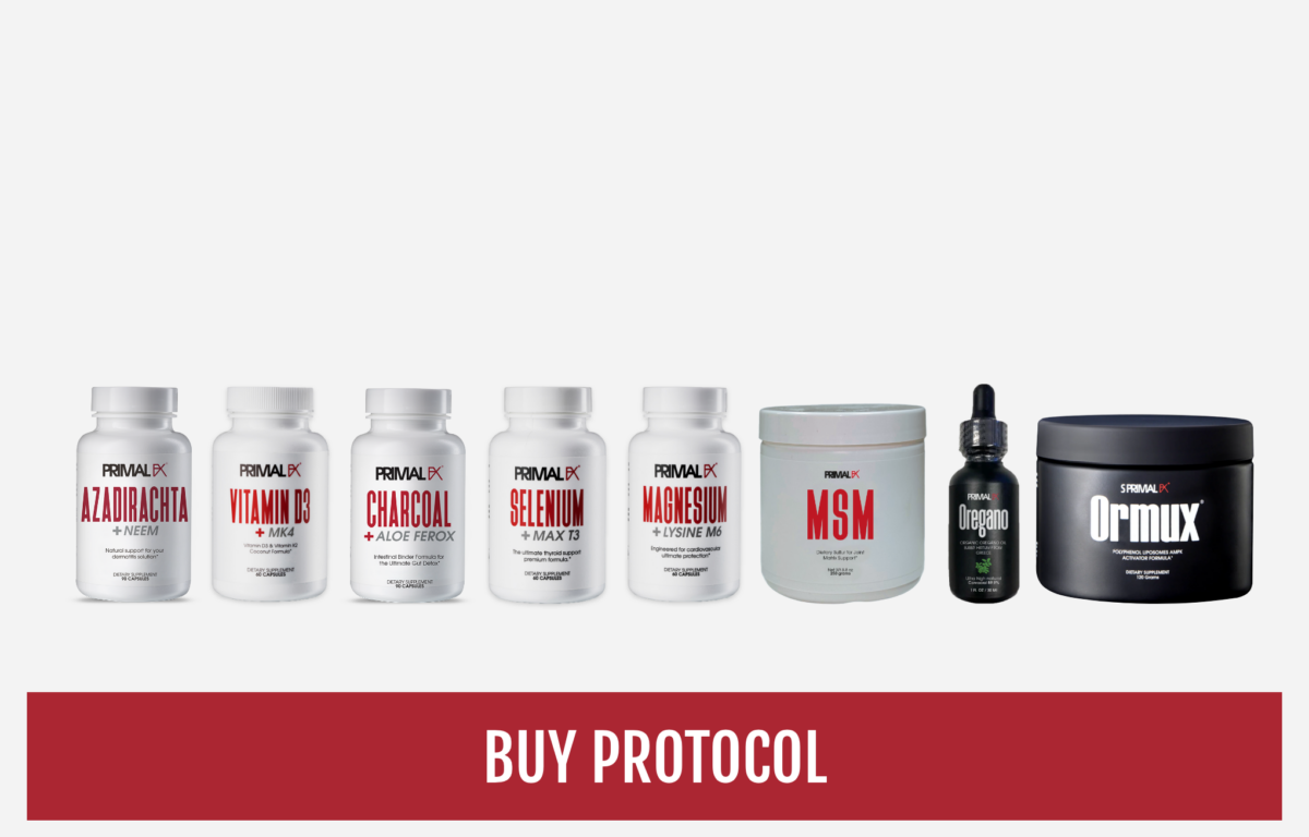 PROTOCOL PSORIASIS | Primal FX